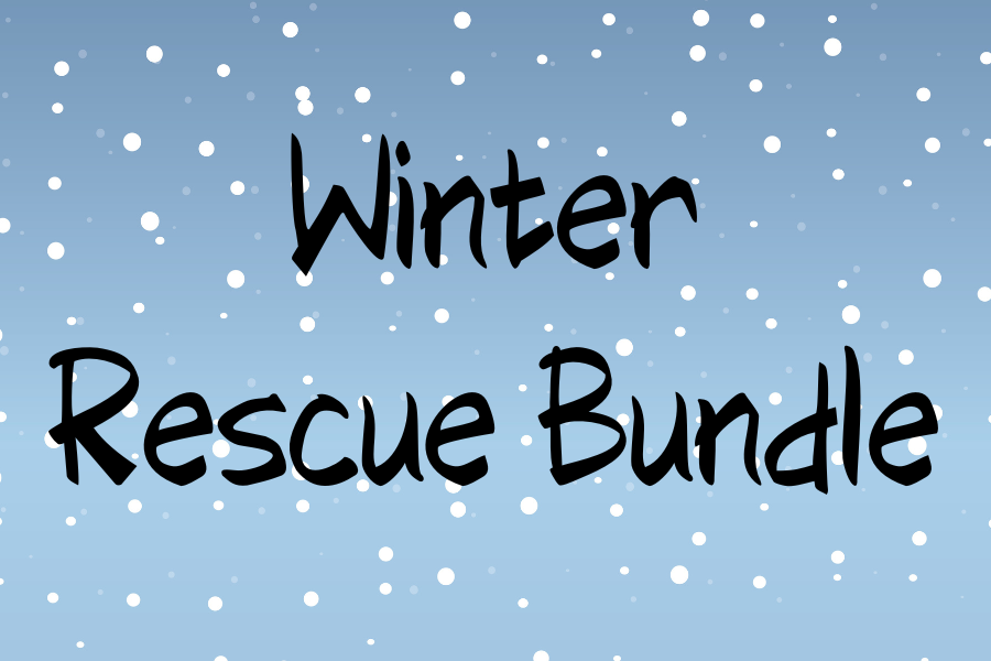 ️ Winter Rescue Bundle – simple suds & more